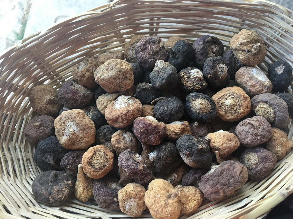 Maca Peruana: tudo o que você precisa saber sobre este super alimento ...